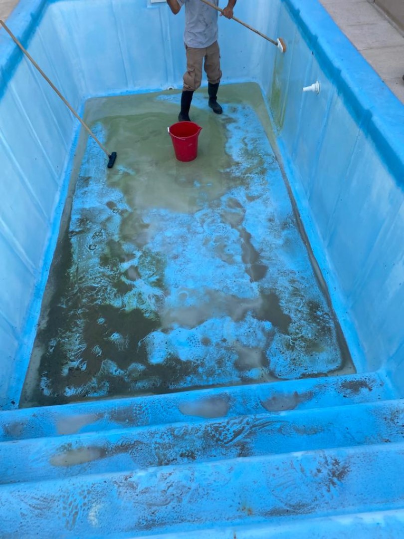 Galería de Imágenes » S.O.S. Clean